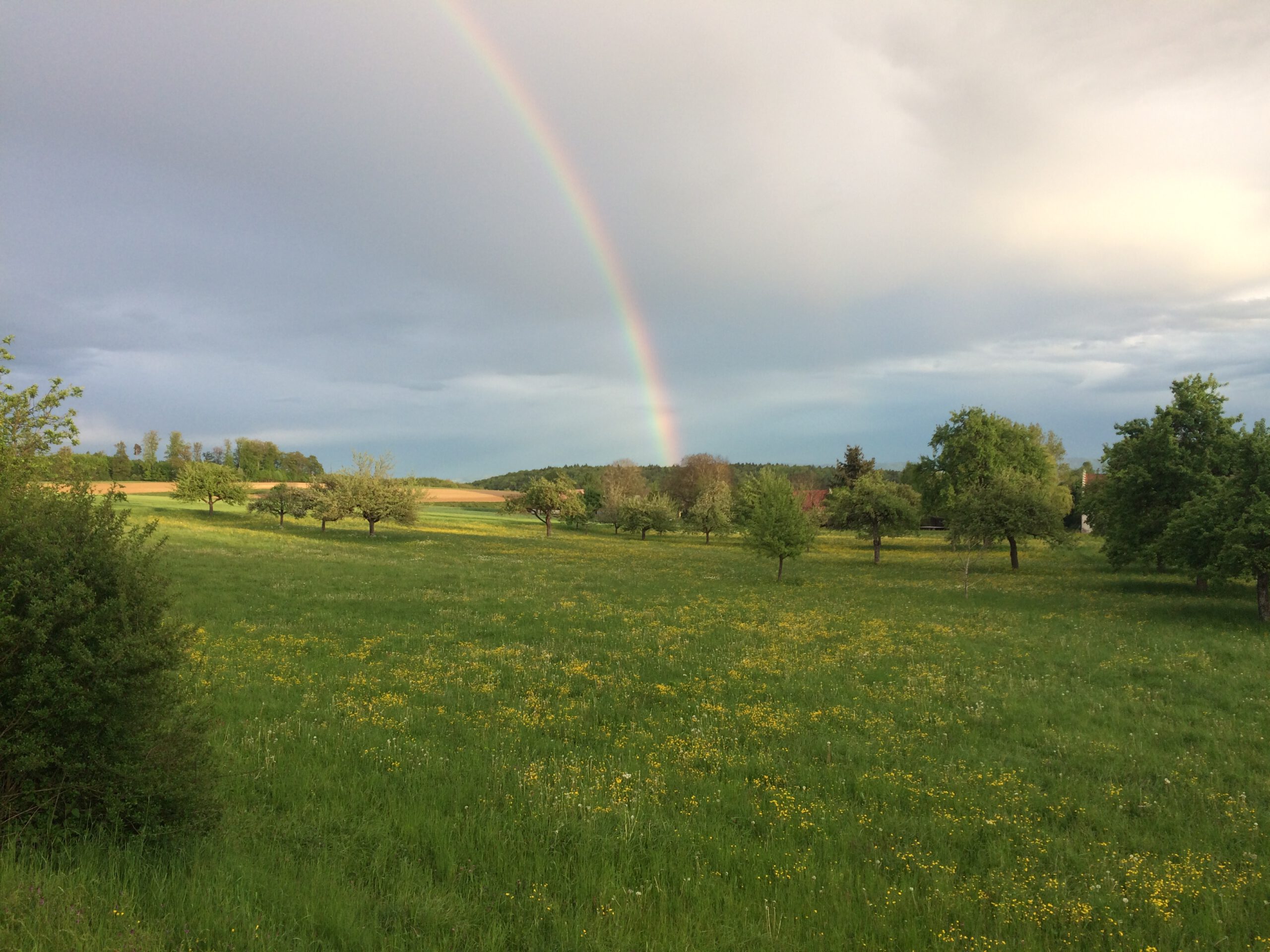 "In der Ruhe liegt die Kraft" - Bürgerinitiative Dornsberg Schießlärm e.V.